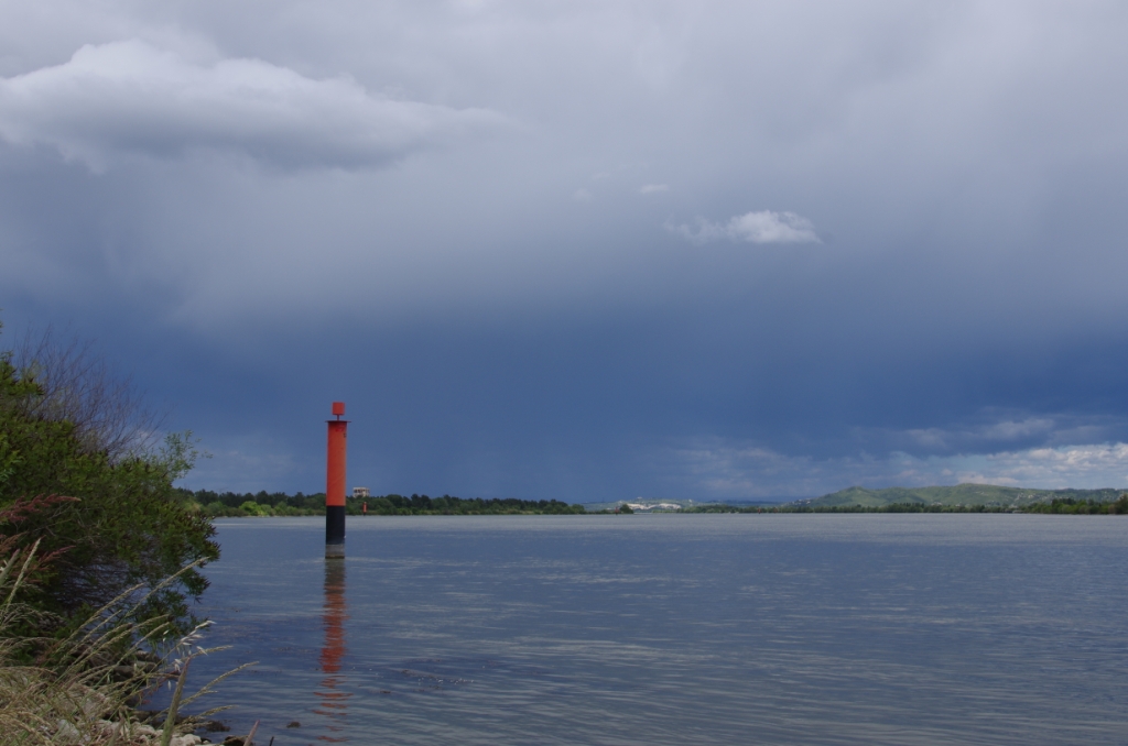 Basics - Bojenfischen - Clan Silure